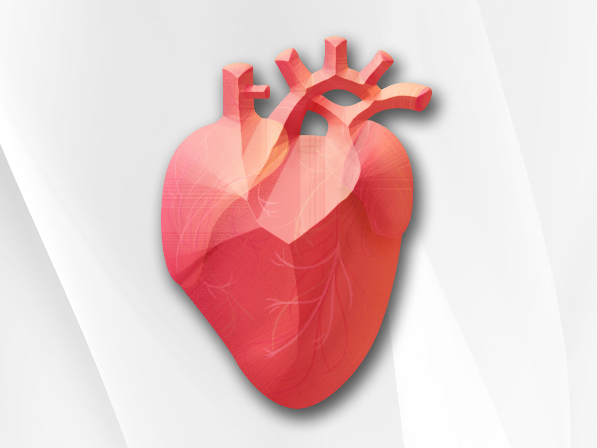 Vibrant America Cardiax Test – OptiLabs by Evergreen Doctors